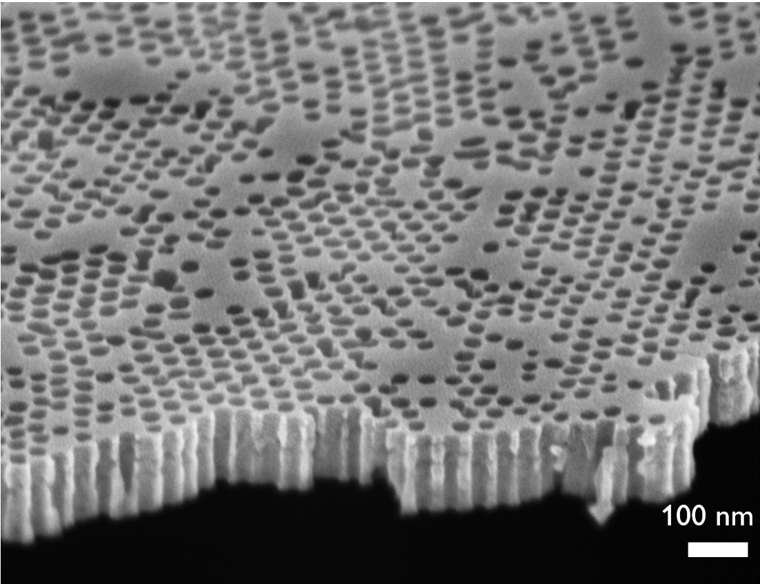 Kidnew | Just another WordPress site